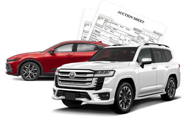 JDM Studio Car Auctions